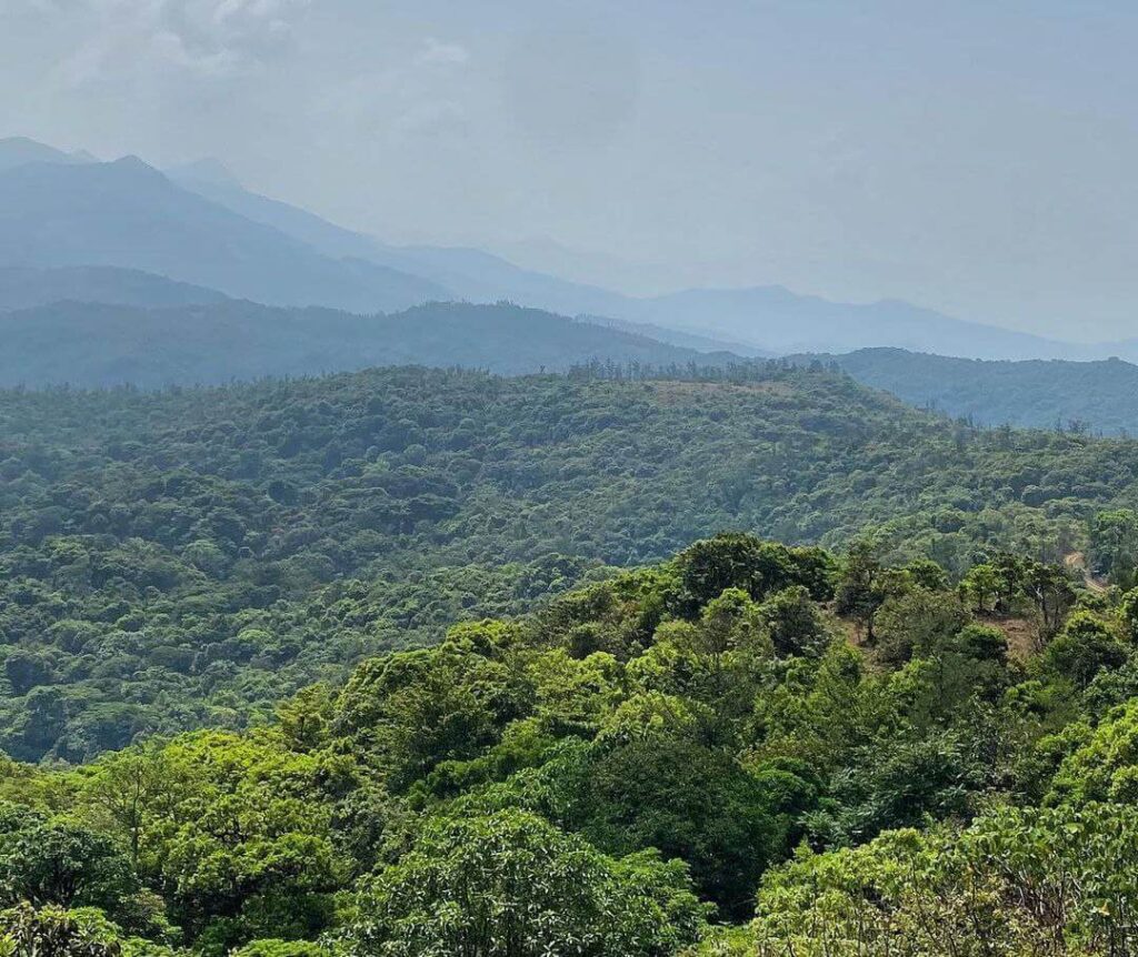Brahmagiri Hill Nashik | Best Trekking place in Nashik